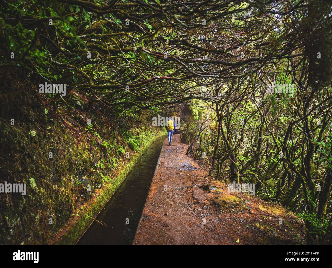 Description: Female tourist with backpack walks through a water channel ...