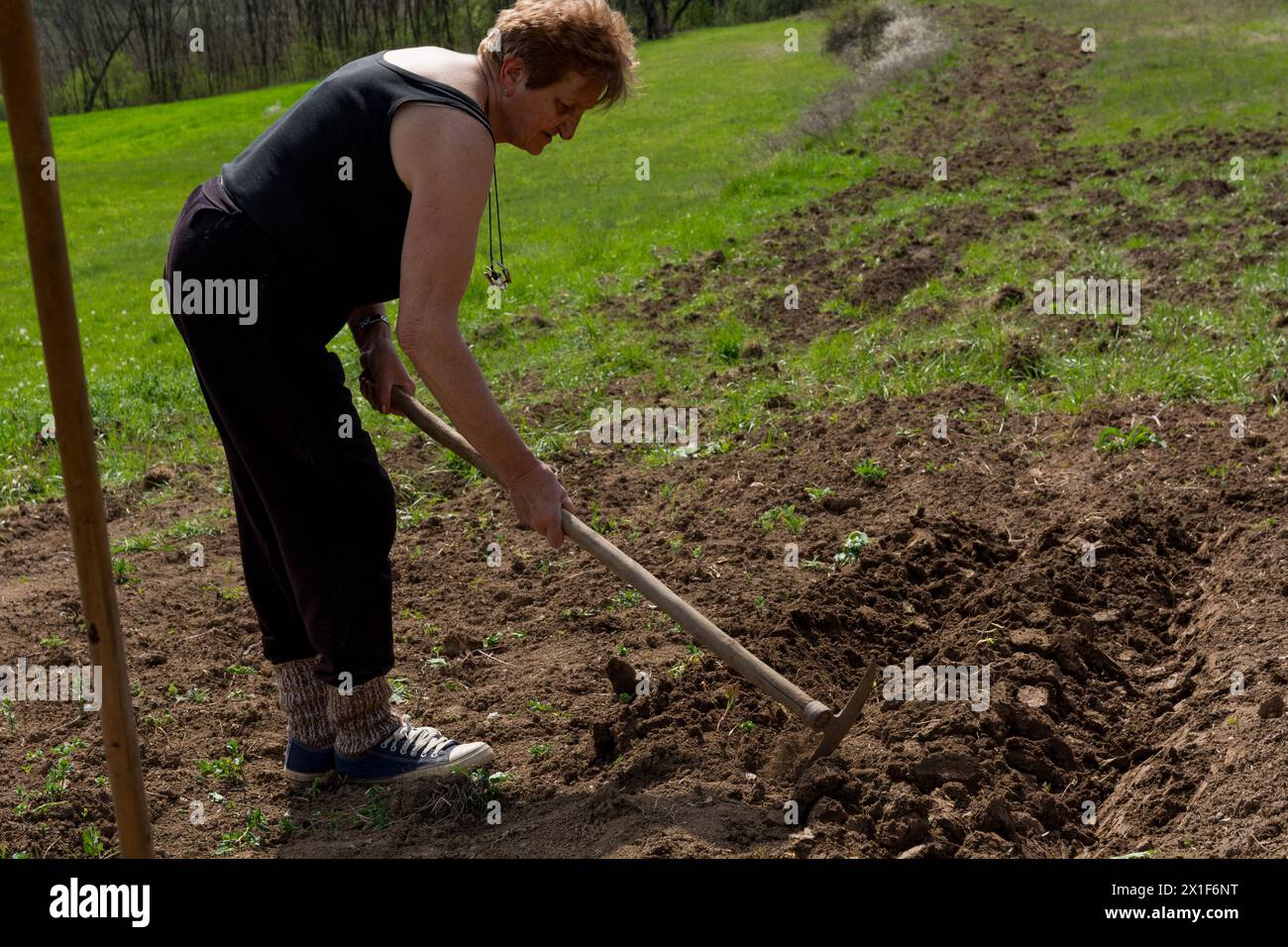 Farmer using hoe hand tool hi-res stock photography and images - Alamy