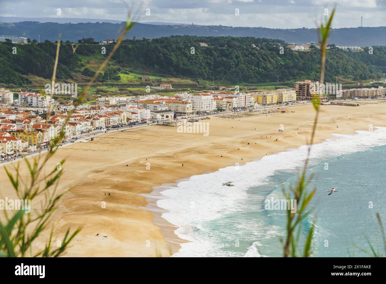 Nazare cliffs aerial hi-res stock photography and images - Alamy