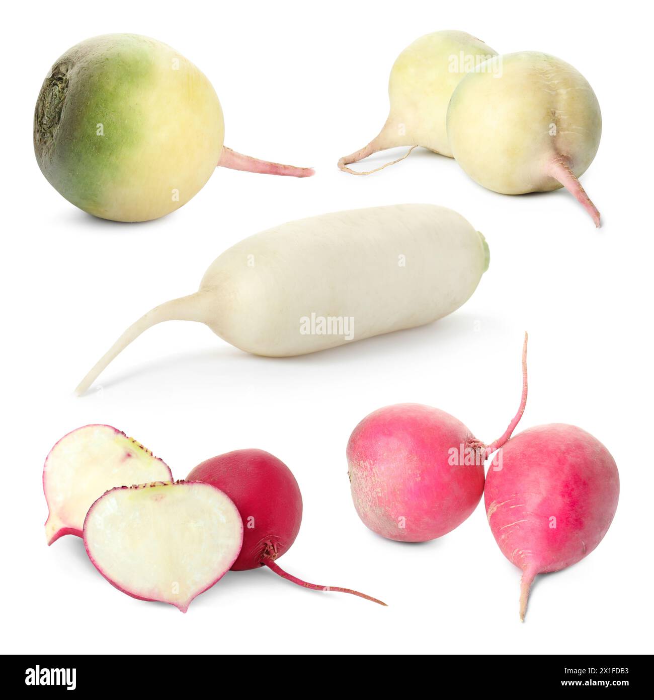 Different ripe turnips isolated on white, set Stock Photo - Alamy