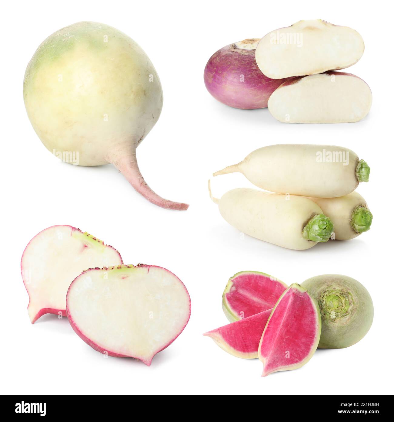 Different ripe turnips isolated on white, set Stock Photo - Alamy