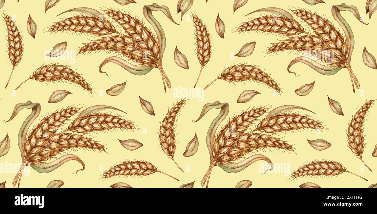 Watercolor illustration of a pattern of ripe bunches of wheat, dried ...