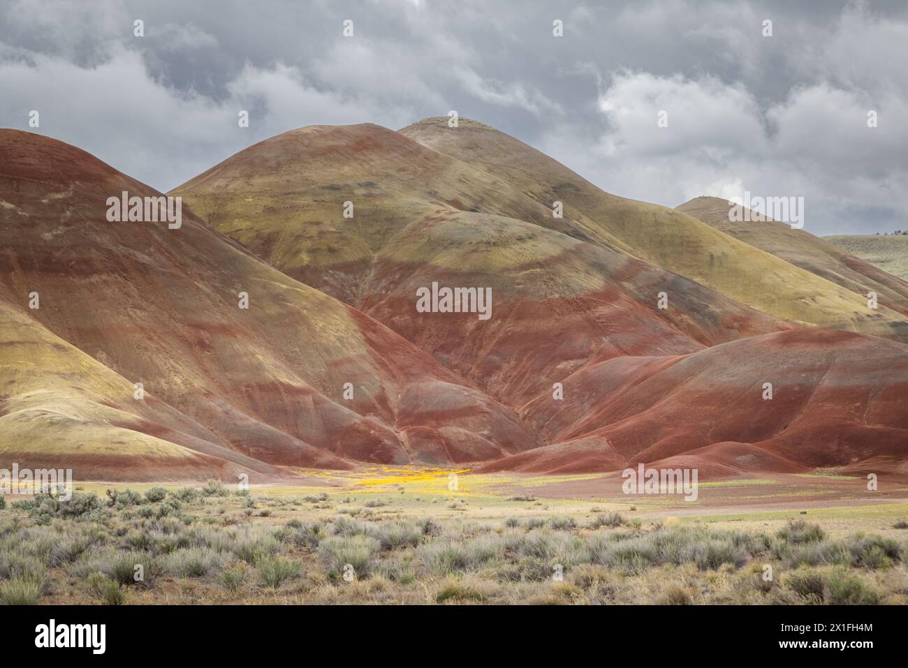 Beautiful and colorful landscape of the Painted Hills in Eastern Oregon ...