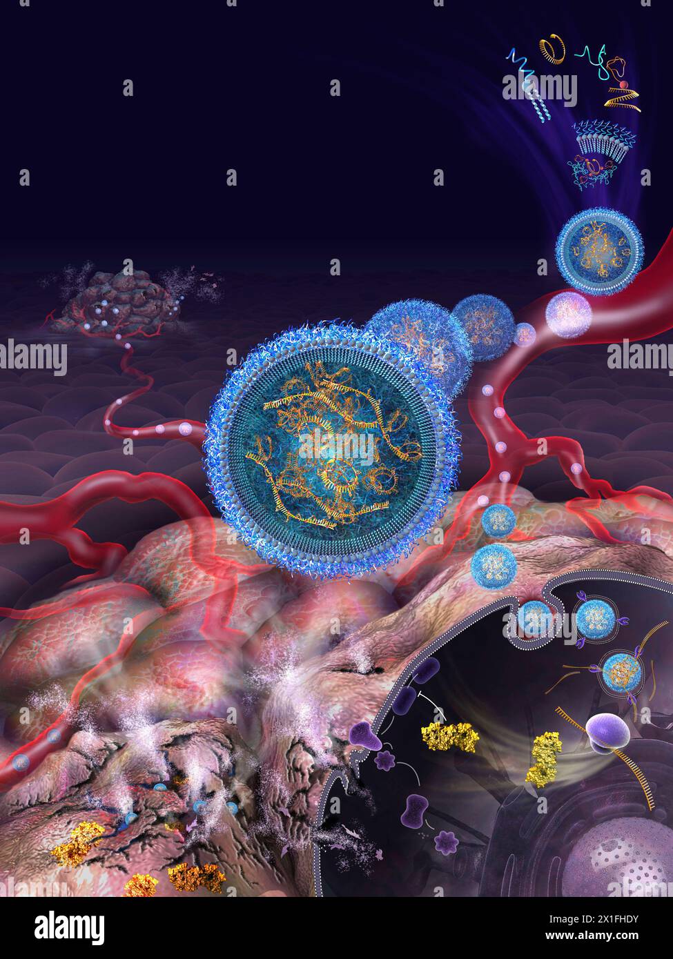 Nanosphere cancer therapy, conceptual illustration. Nanosphere ...