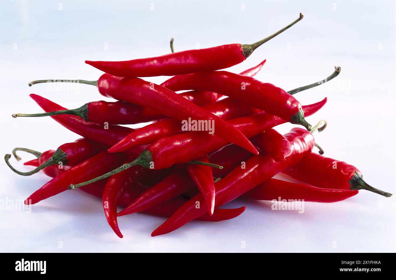 Pile of bird's eye chilli peppers. The chilli pepper is small but quite ...