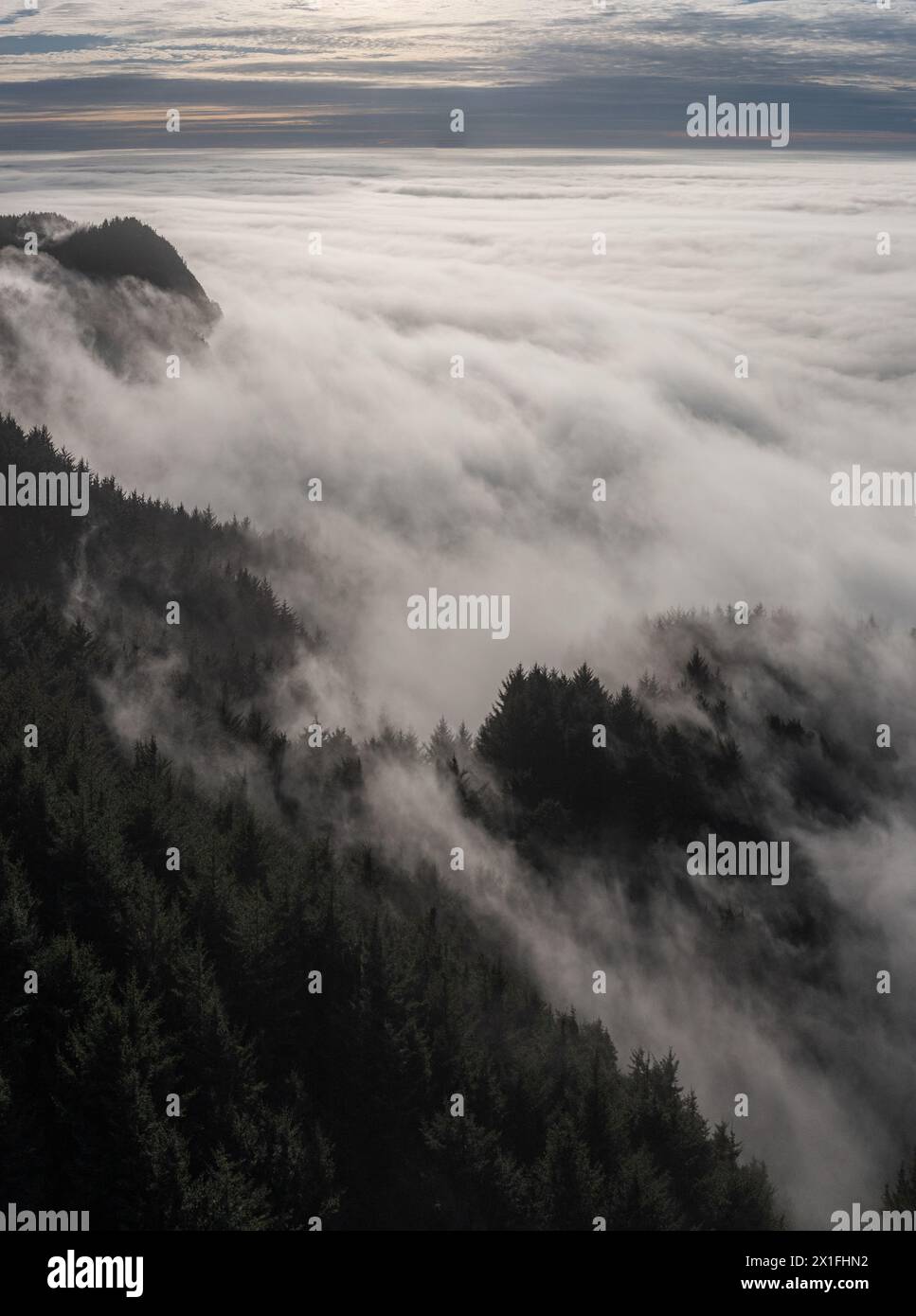 The sky is covered in a thick layer of fog, creating a moody and ...