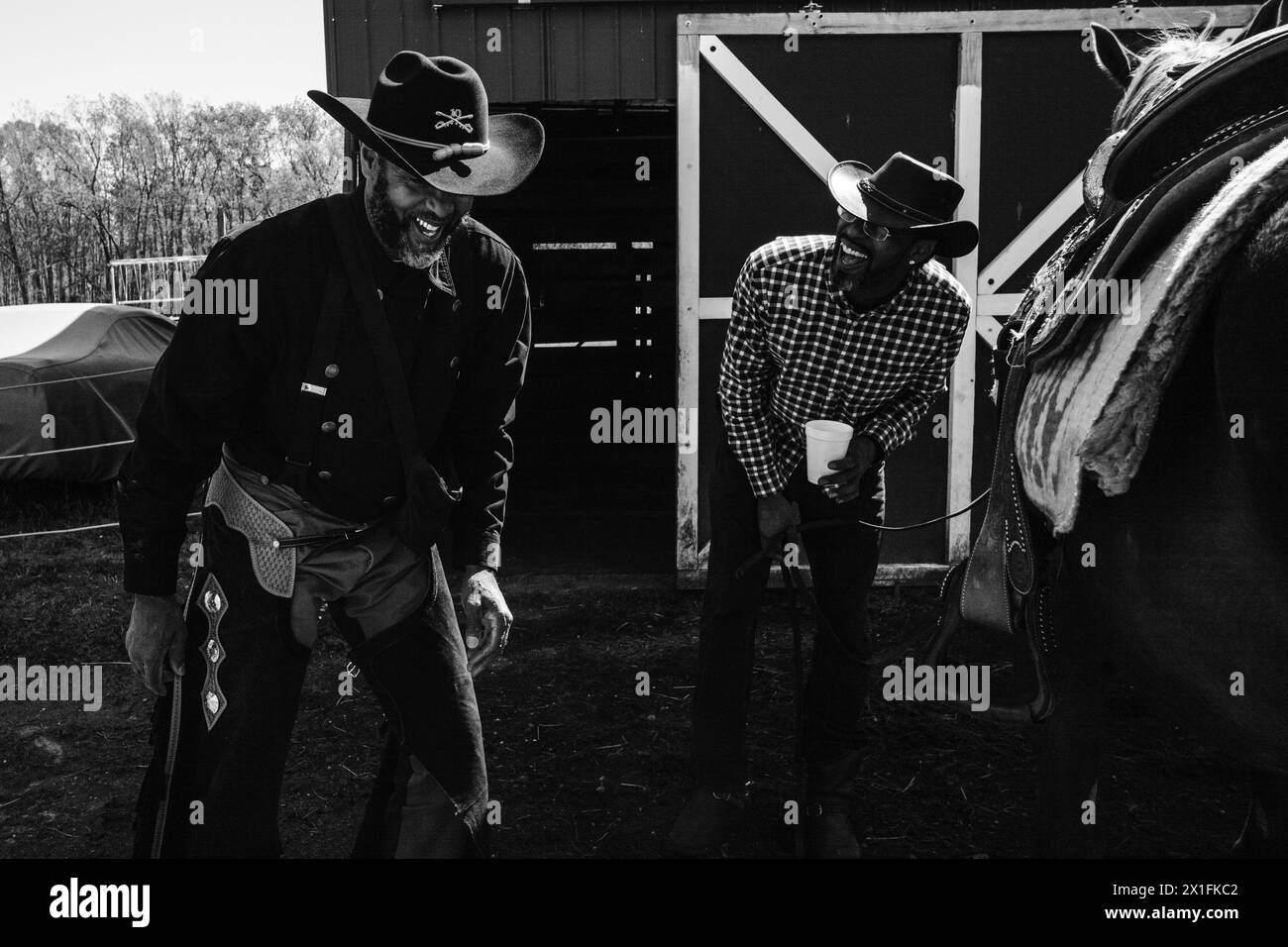 Usa male cowboy grooming horse hi-res stock photography and images - Alamy