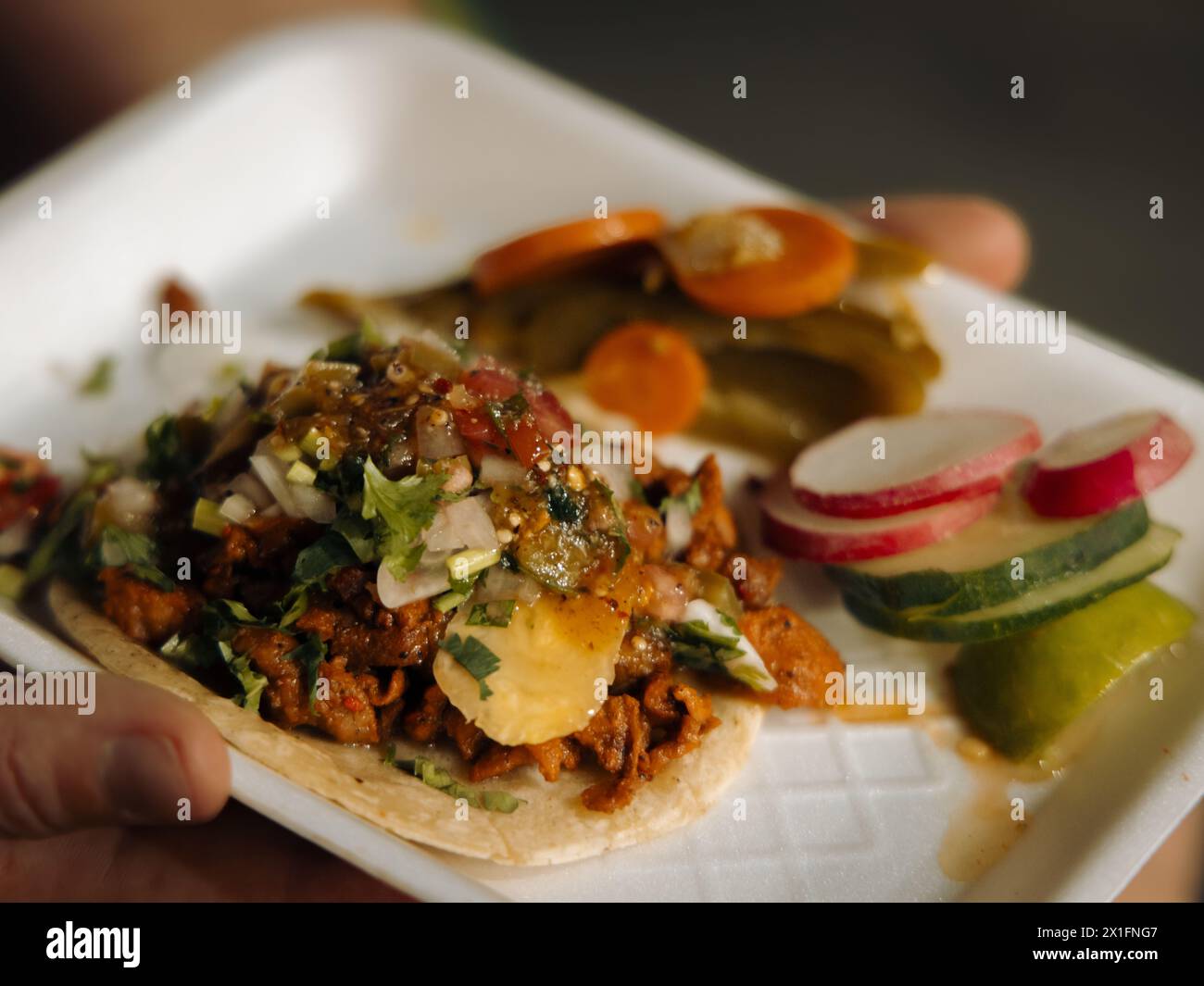 Closeup view of a single Mexican al pastor street taco with cilantro ...