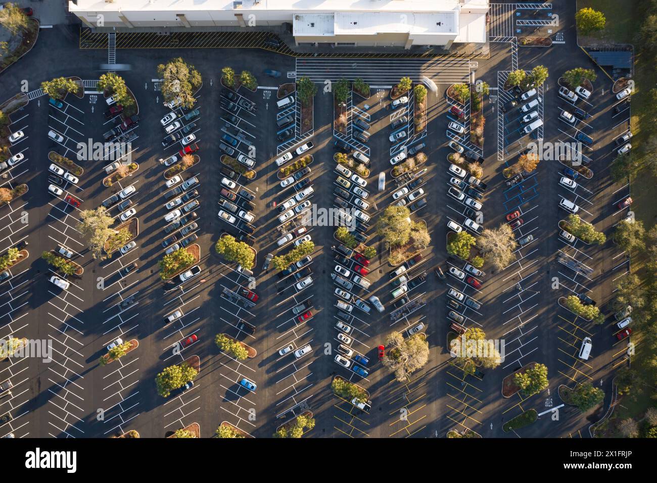 Aerial view of many cars parked on parking lot with lines and markings ...