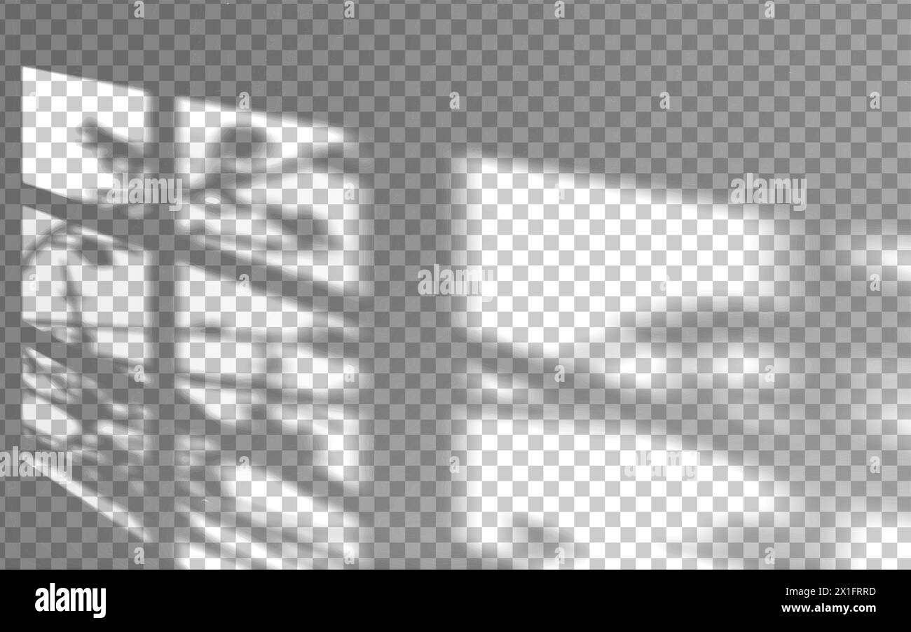 Light effect shadow overlay from window and plant isolated transparent ...