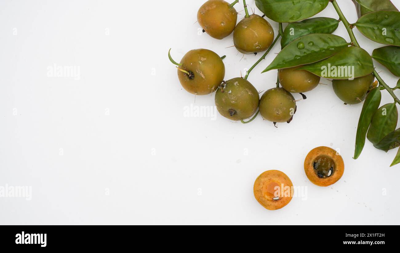 ra pro n bis Fruit Leaves And Seeds On White Background Stock Photo ra pro n bis Fruit Leaves And Seeds On White Background Stock Photo