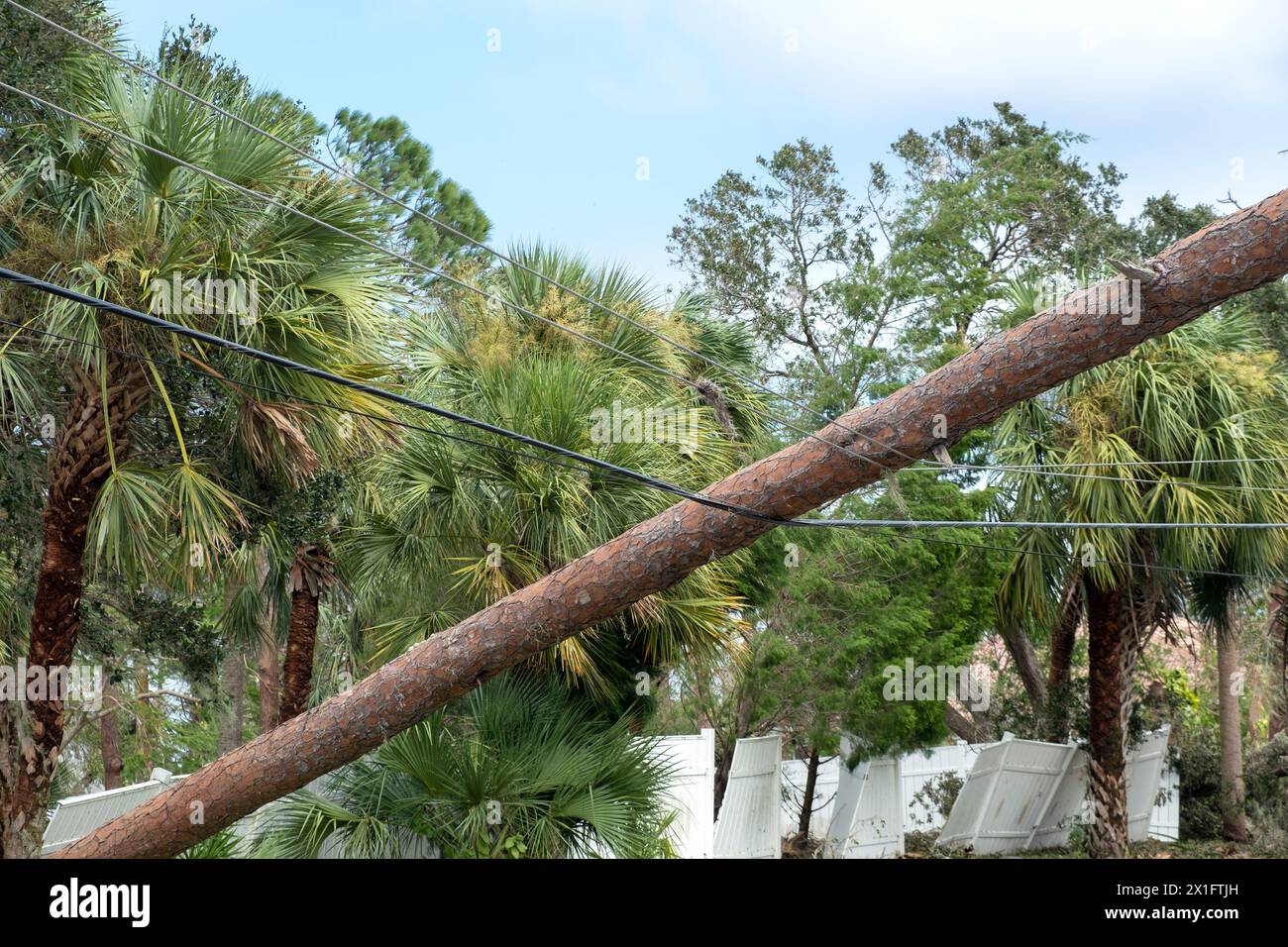 Electricity outage as consequences of natural disaster. Damaged power ...