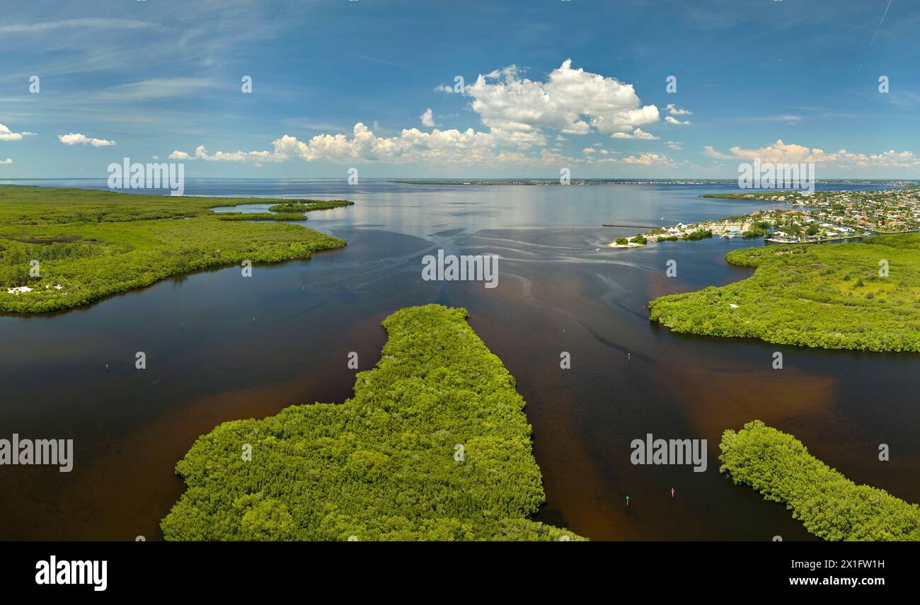 Overhead view of Everglades swamp with green vegetation between water ...