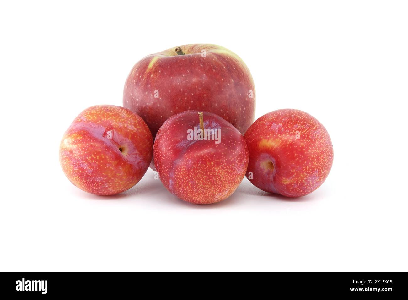 Crimson plums and red apple isolated on white background Stock Photo ...