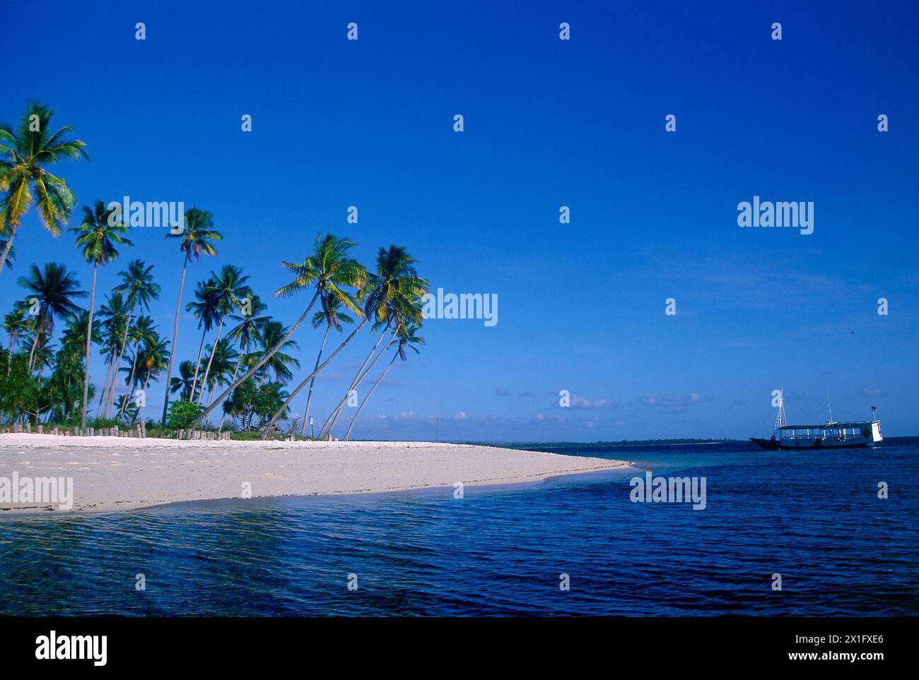 Beach, Wakatobi Resort, Sulawesi, Indonesia Stock Photo - Alamy