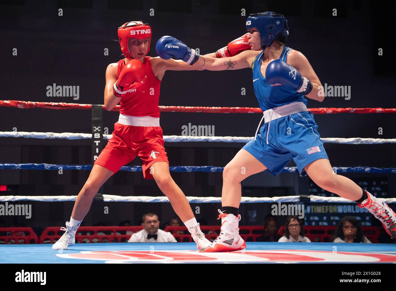 Danish female boxer hi-res stock photography and images - Alamy