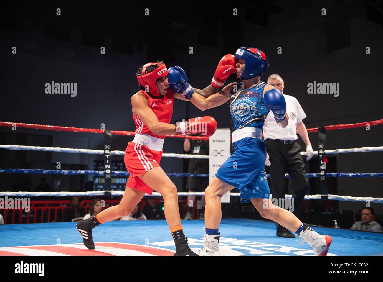 Caroline de almeida hi-res stock photography and images - Alamy