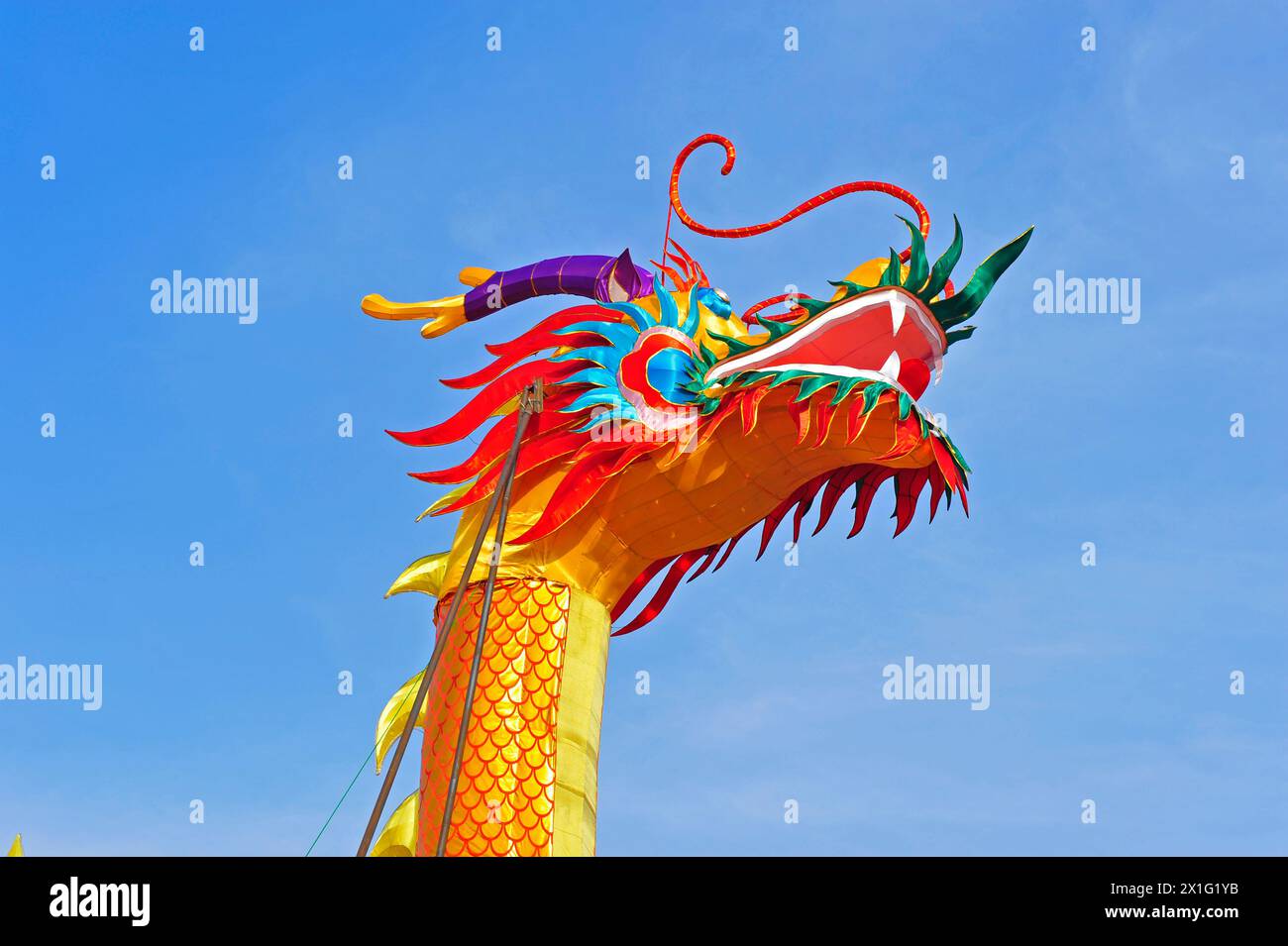 The Chinese dragon lantern Stock Photo - Alamy