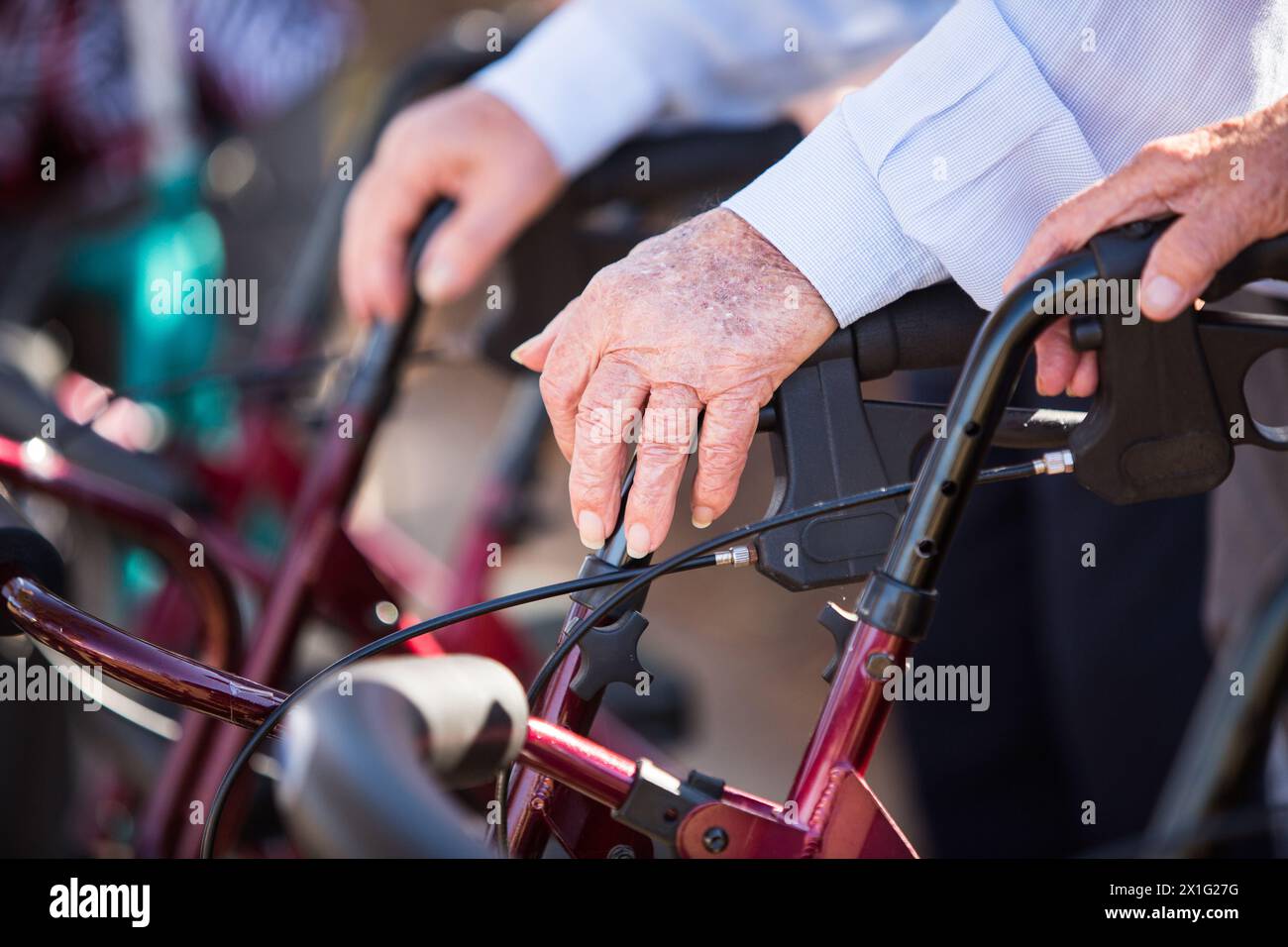 ELDERLY MAN'S HANDS RESTING ON HIS MOBILITY WALKER. AUSTRALIA Stock ...