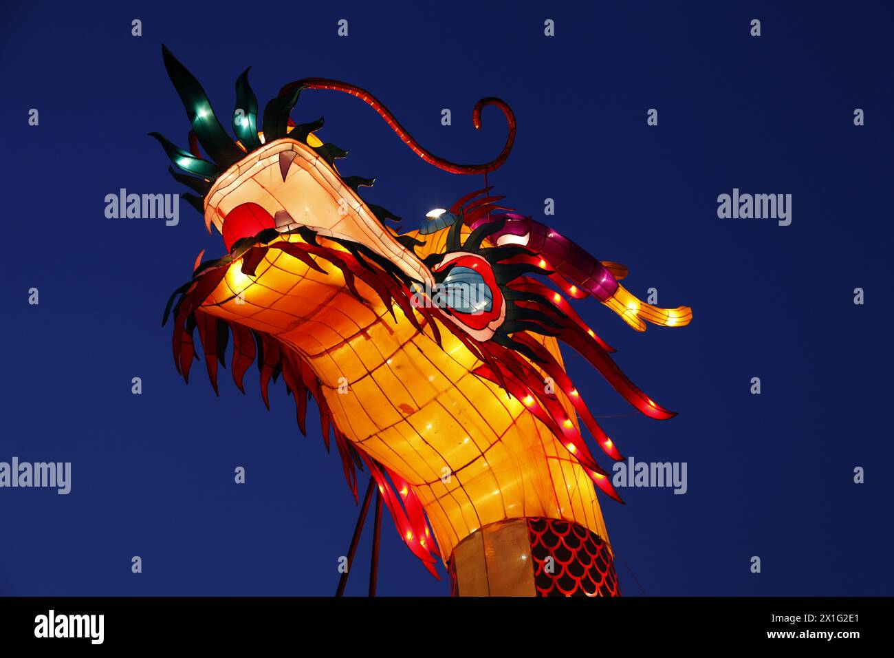 The Chinese dragon lantern Stock Photo - Alamy