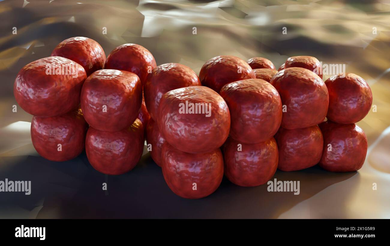 3d rendering of Sarcina cuboidal arrangement isolated on the white ...