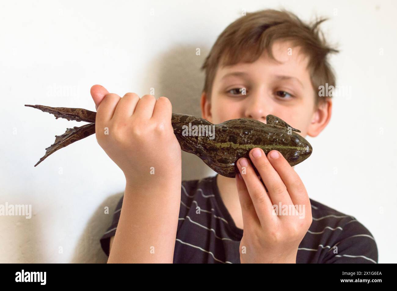 Holding a wet toad hi-res stock photography and images - Alamy