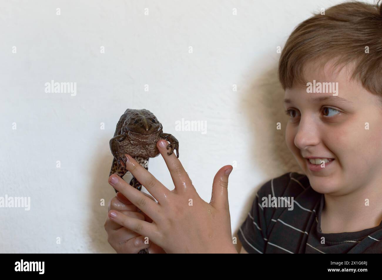 Boy holding a big toad in his hands. two frogs Stock Photo - Alamy