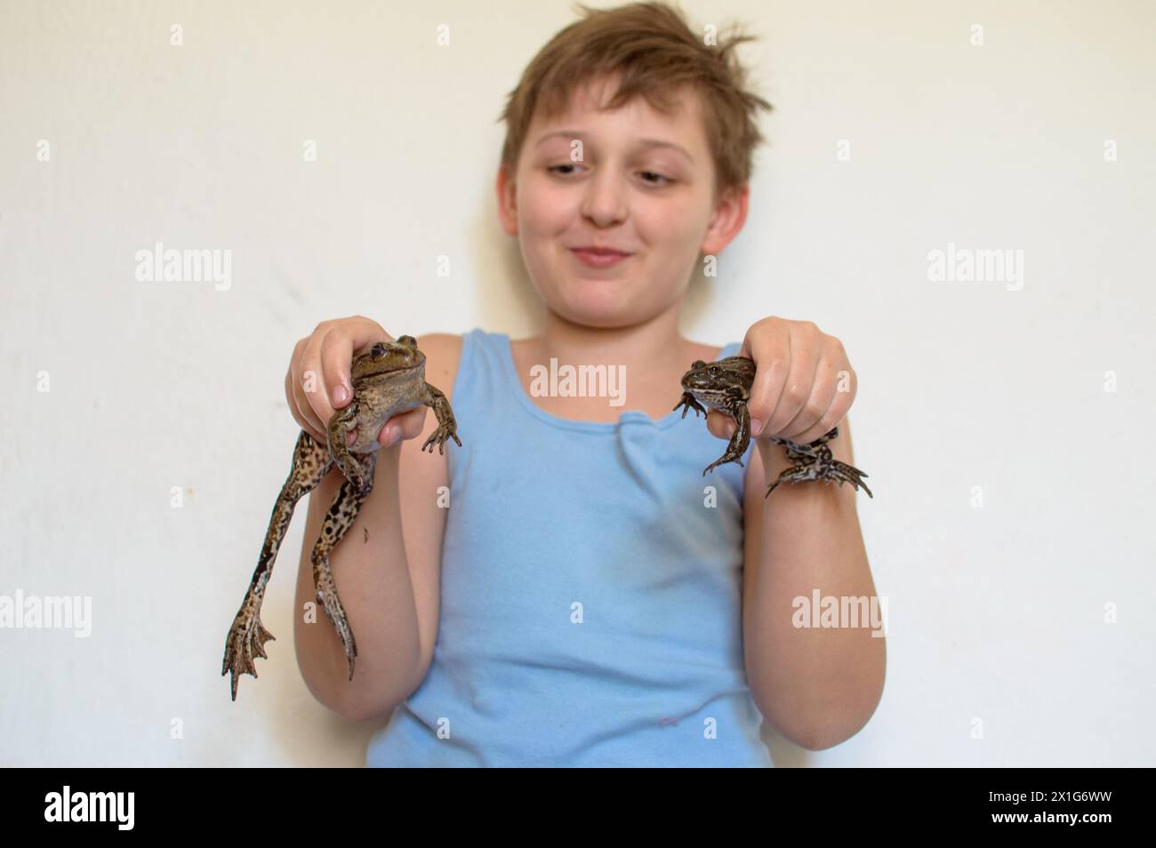 Boy holding a big toad in his hands. two frogs Stock Photo - Alamy