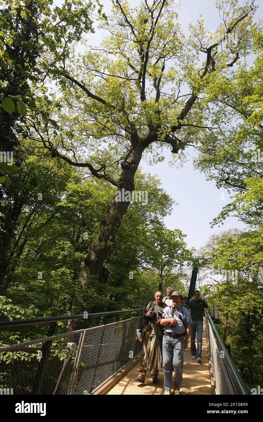 On 16 April 2009 the "Baumkronenpfad", a 160 meter long trail through ...