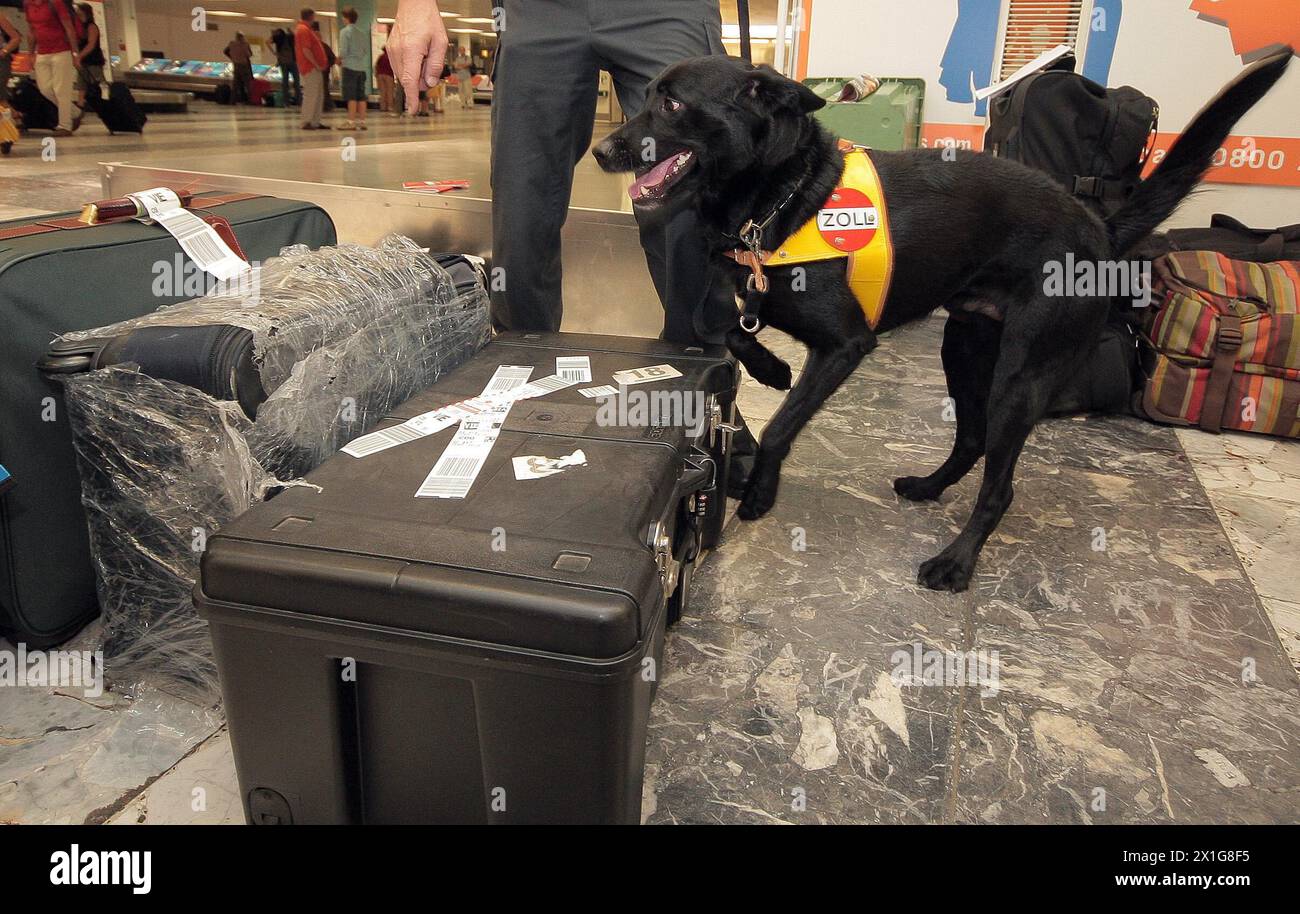 Austria - Airport Wien-Schwechat - Customs - A sniffer dog from Airport ...
