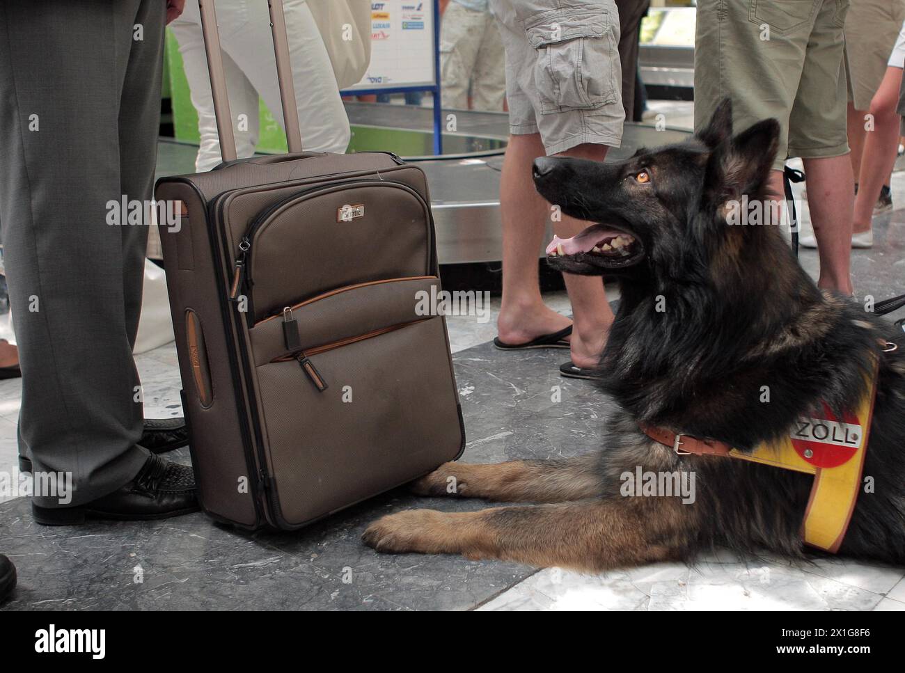 Austria - Airport Wien-Schwechat - Customs - A sniffer dog from Airport ...