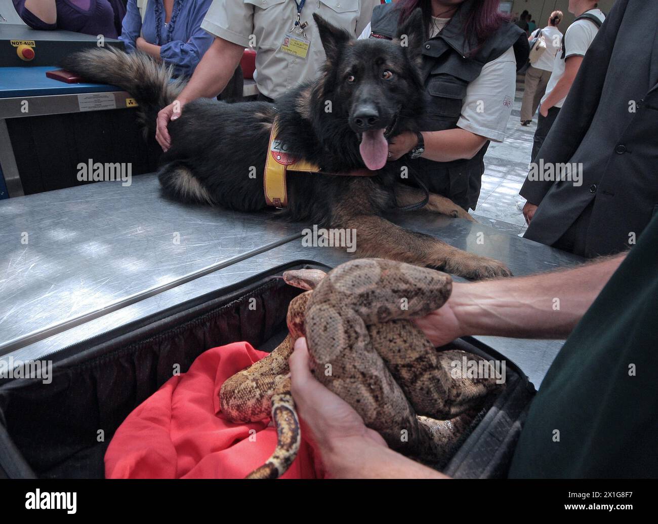 Tolls for animals hi-res stock photography and images - Alamy