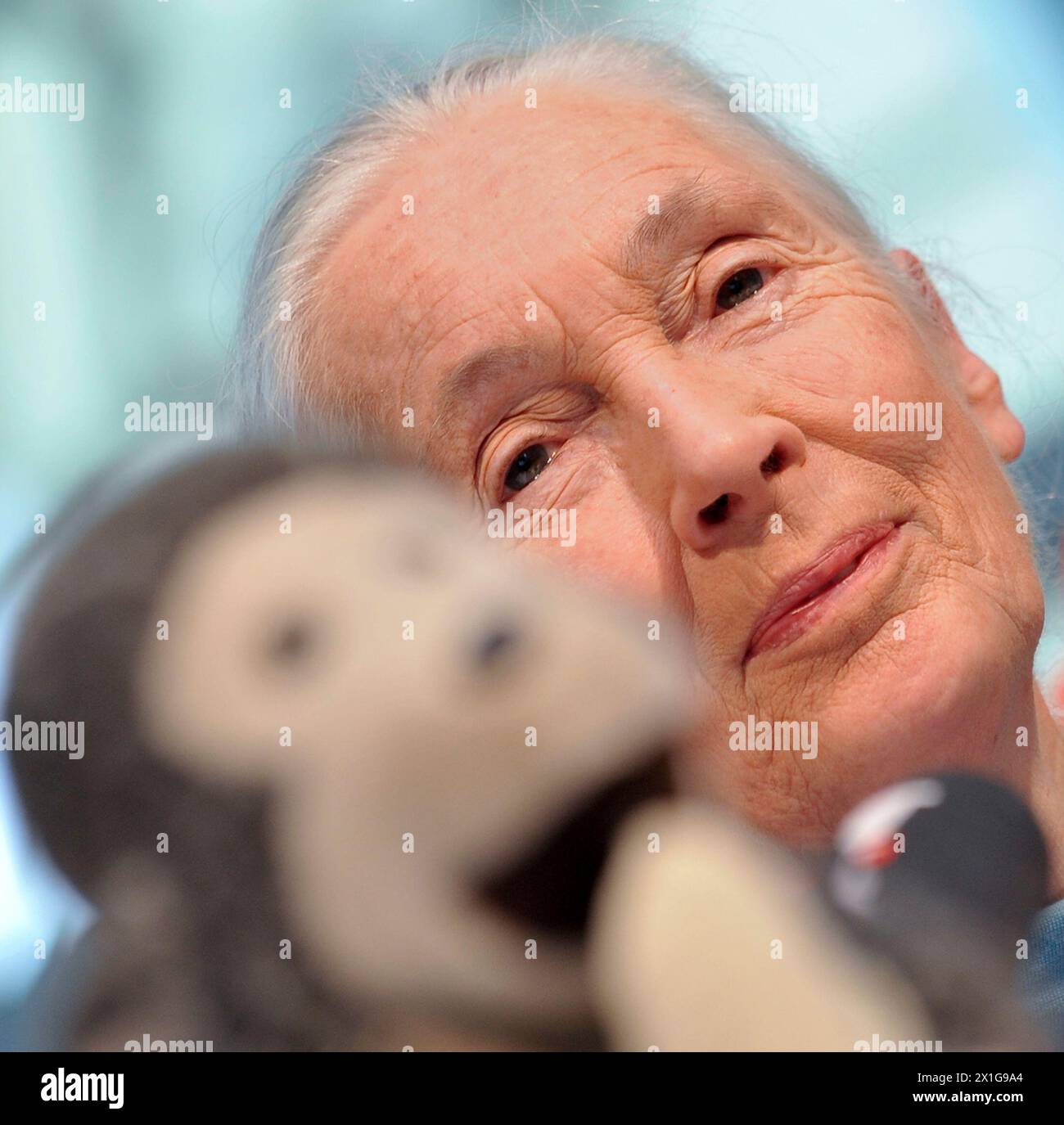 Celebrities maskot hi-res stock photography and images - Alamy