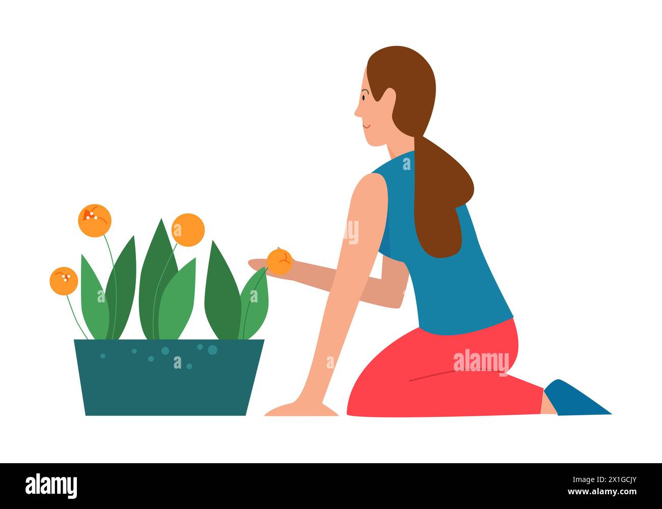 Gardener girl with potted flowers. Planting flowers, farming hobby flat vector illustration ...
