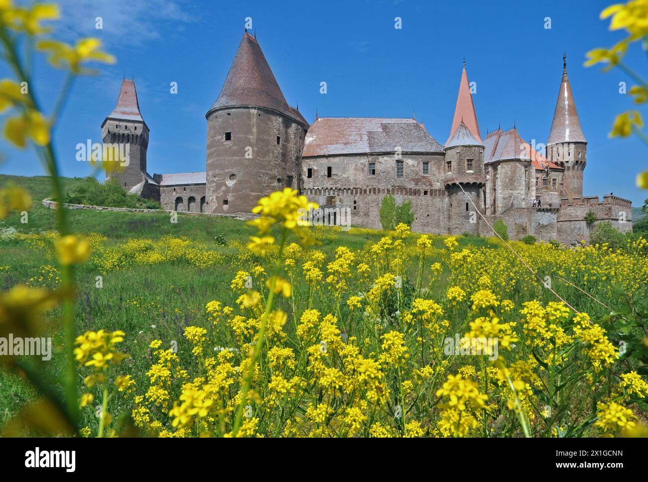 Corvin Castle, Hunyadi Castle, Hunedoara Castle, Romania Stock Photo ...