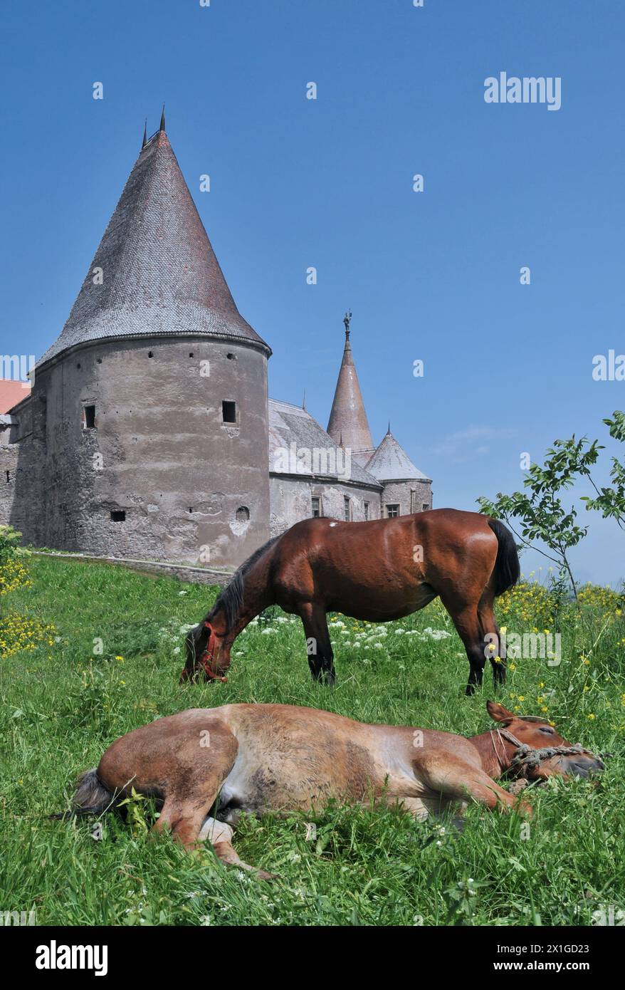 Corvin Castle, Hunyadi Castle, Hunedoara Castle, Romania Stock Photo ...