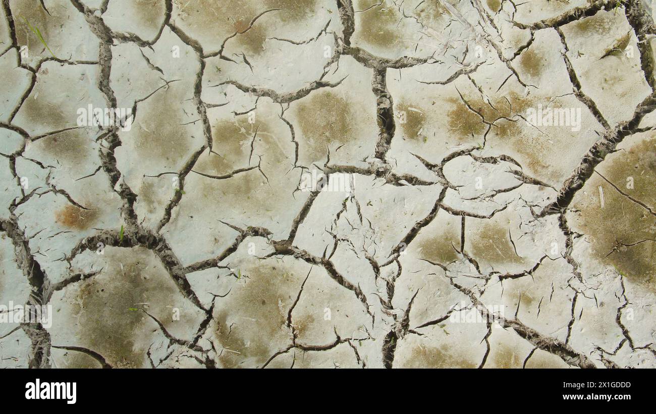 Cracked soil, a rice field that experiences cracks during the dry ...