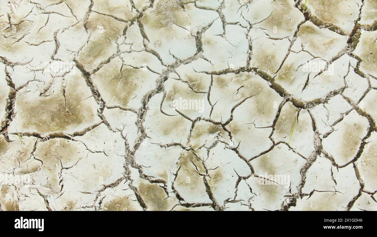 Cracked soil, a rice field that experiences cracks during the dry ...