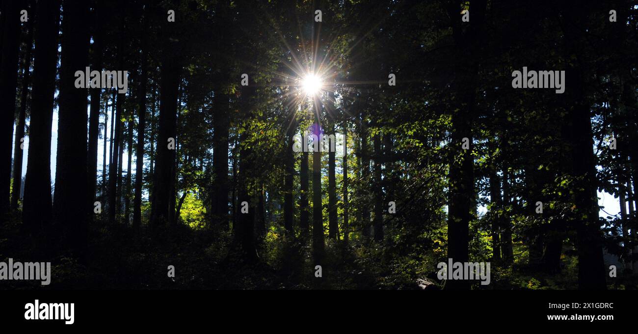 In Groedig in Salzburg Flachgau, biodegradable urns can be buried in ...