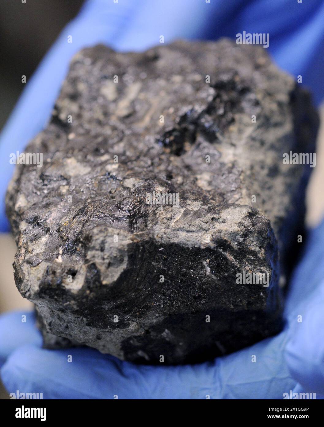 Vinna - Presentation of the newest attaction of the NHM ...