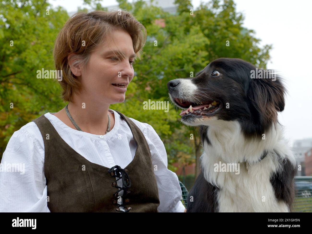 Cognition dogs hi-res stock photography and images - Alamy