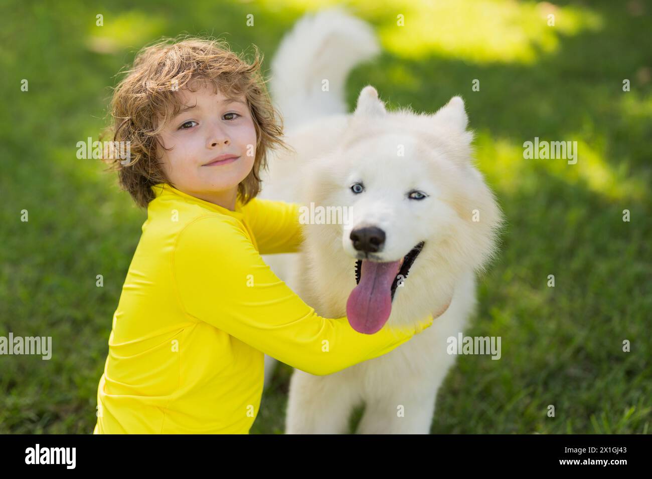 Portrait of Child and dog. Boy Playing with Husky. Kid hugging dog in ...