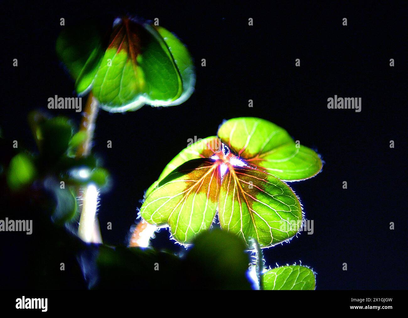 Turn of the year hi-res stock photography and images - Alamy