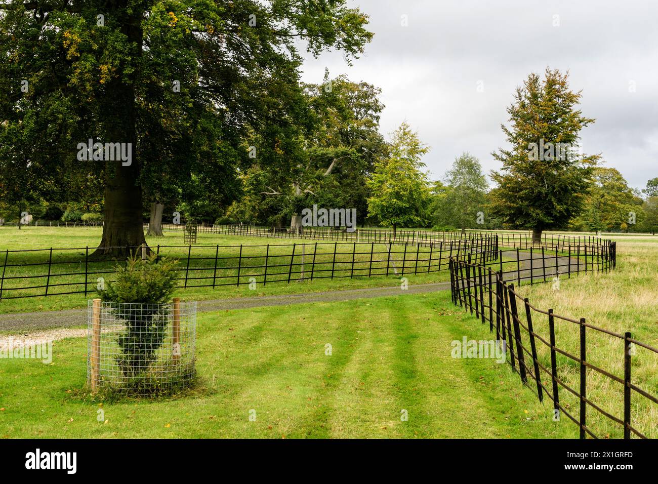 Driveway uk hi-res stock photography and images - Alamy