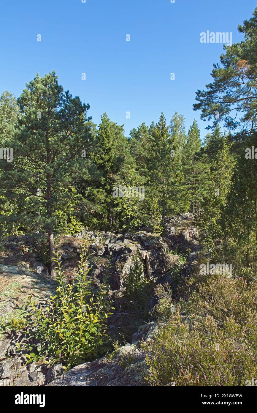 Old rocky battle trench from World War 1 at Kivikko fortress, Helsinki ...