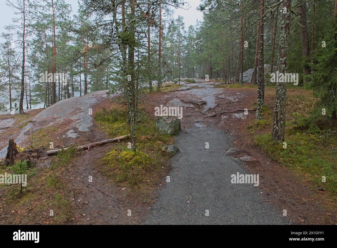 Autumn nature trail at Sarvikallio recreational area, Tuusula, Finland ...