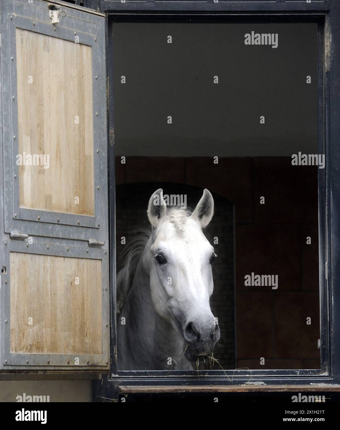 Vienna - feature - Spanish Riding School in Vienna captured on 27th May ...