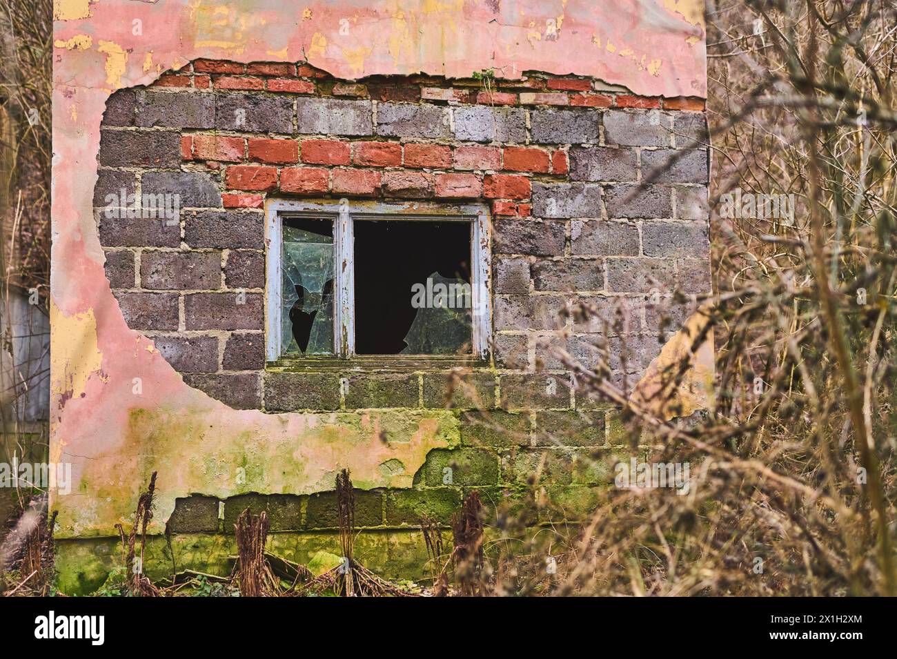 In an aged and crumbling cinder block edifice; a fractured window bears ...