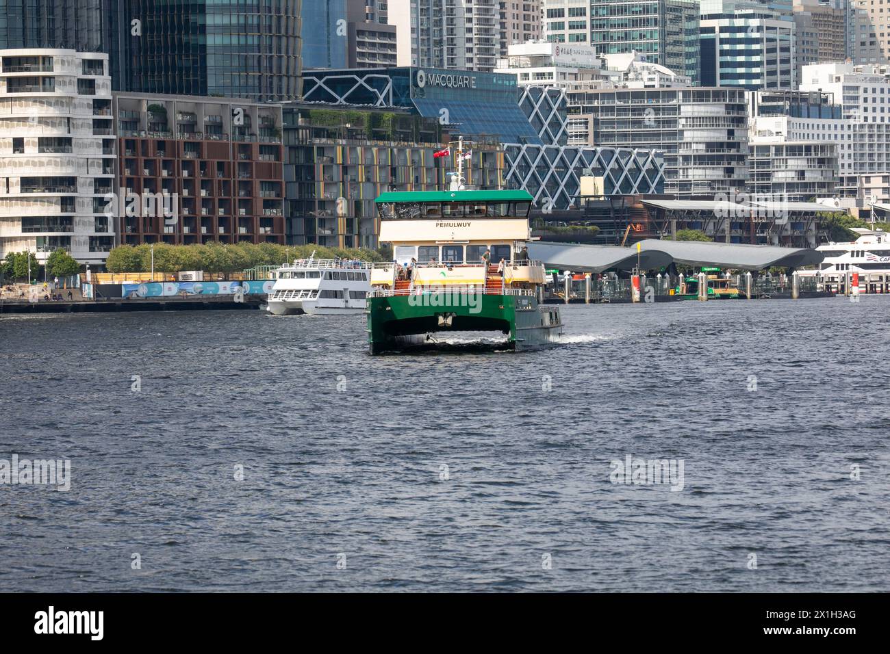 Sydney ferry, named Pemulwuy, bow towards camera, departs Barangaroo ...