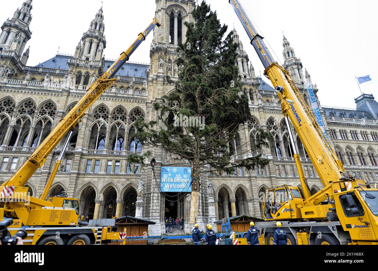 Vienna - Mounting of Vienna's christmas tree at the Rathausplatz (in ...